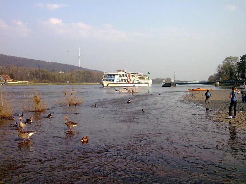 Gräfin Cosel - Schiffbilder.de