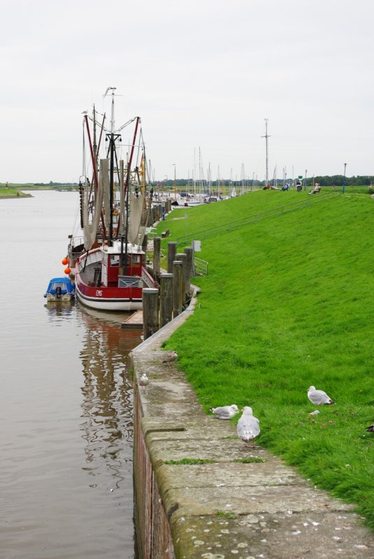 Bilder von Michael Borgert - Schiffbilder.de